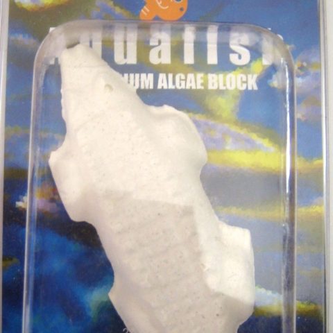 Aquarium Algae Block Clam Shell - Aquafish Australia