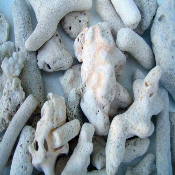 Coral Sand - Aquafish Australia