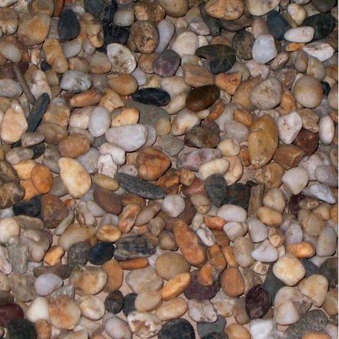 Gold Pebbles - Aquafish Australia