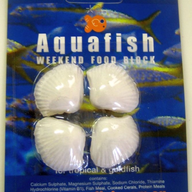 Pond Algae Block Clam Shell - Aquafish Australia